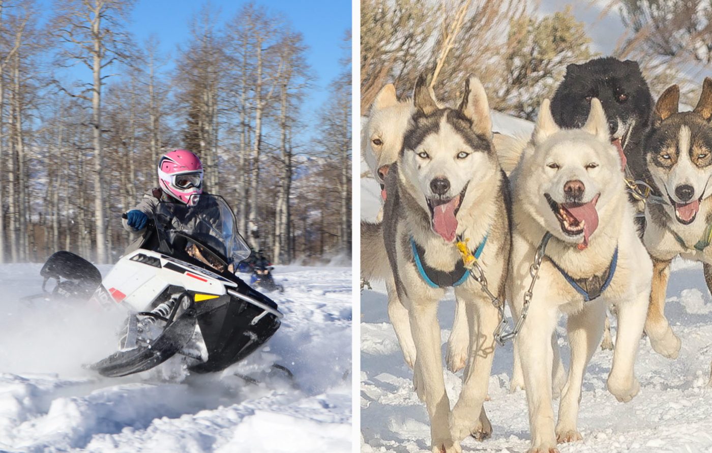 North Forty Escapes | Dog Sledding, Snowmobiling & More - Park City